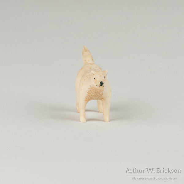 Inuit Carved Walrus Ivory Standing Fox