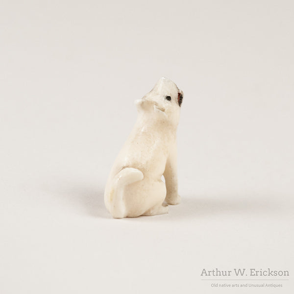 Eskimo Ivory Howling Husky