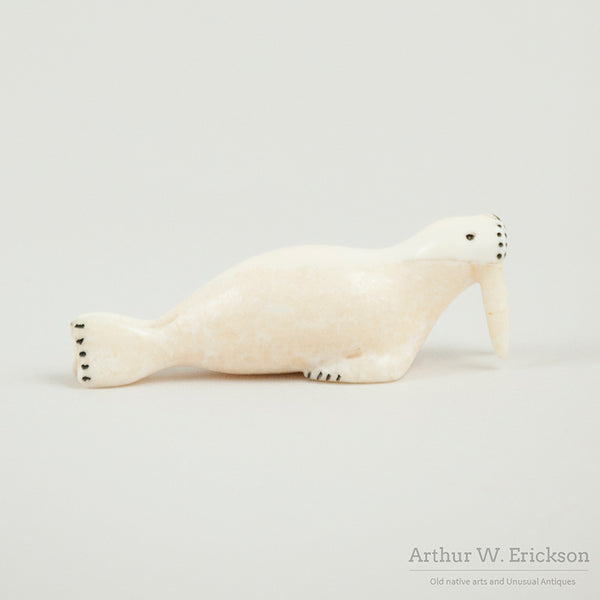 Big Tusked Carved Ivory Walrus